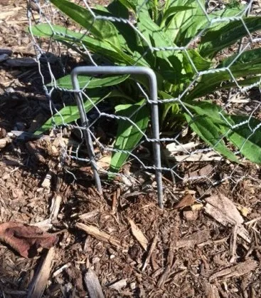 6 Inch Garden Stakes - Durable Galvanized Landscape Staples