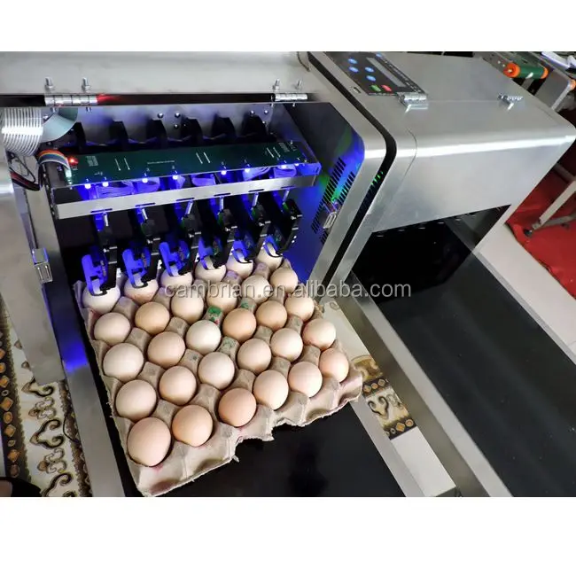 Best Quality High Dpi Inkjet Egg Printer Print 6 Lines Eggs Direct Jet ...