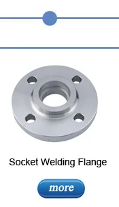 ASME Carbon Steel Pad Type Flange - Durable & Versatile