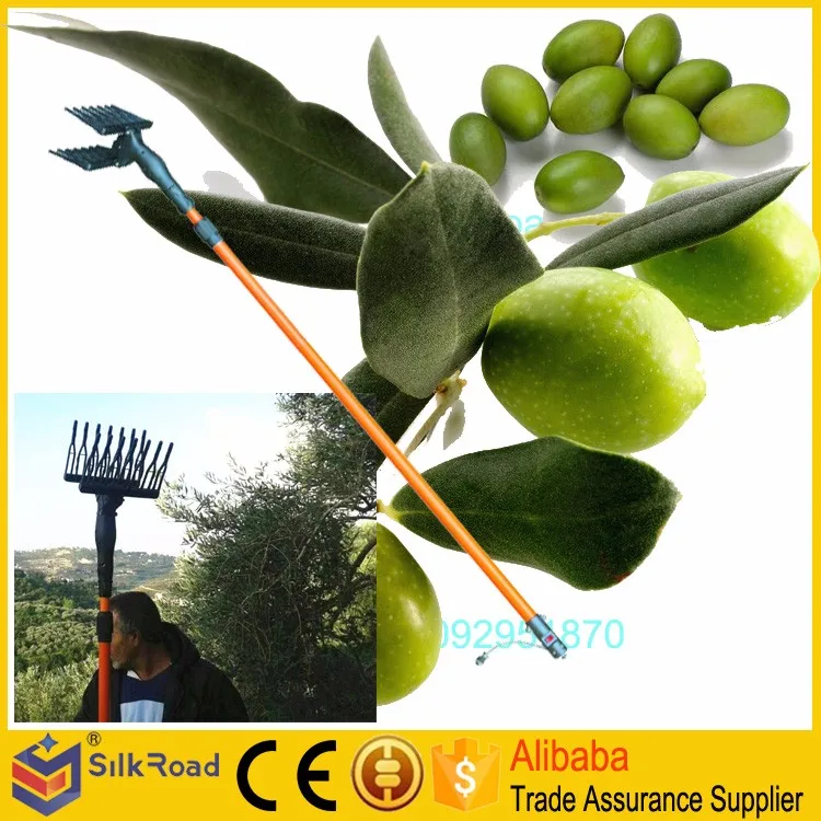 Professional Olive Tree Shaker For Sale - Buy Tree Shaker For Sale ...