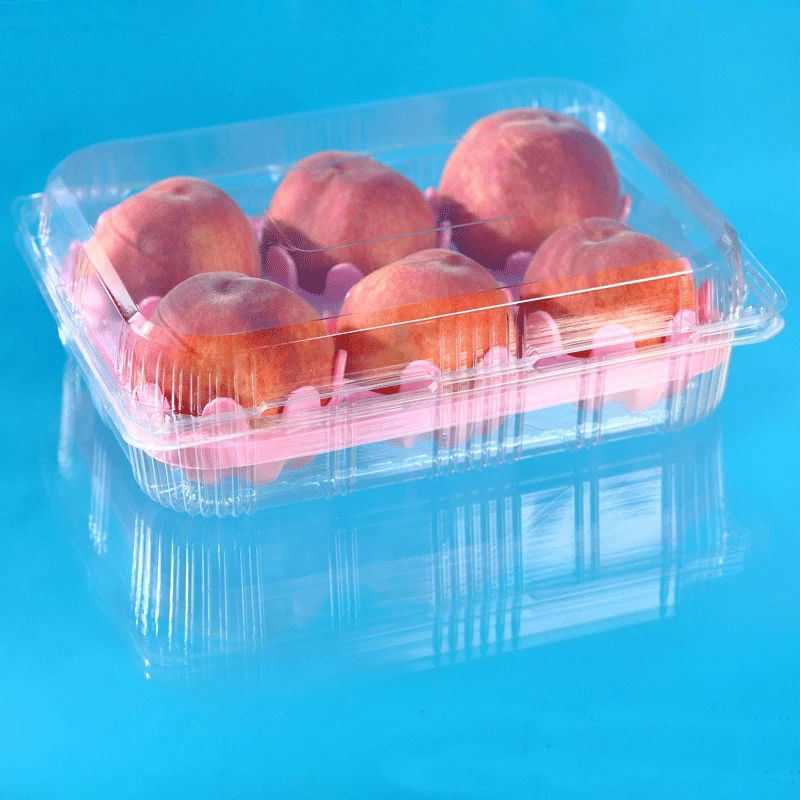 Disposable Plastic Peach Packaging Container Clear Clamshell 6 Pack ...