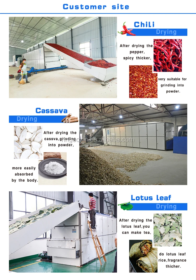 Best price flower leaves extraction cbd oil hemp drying machine ...