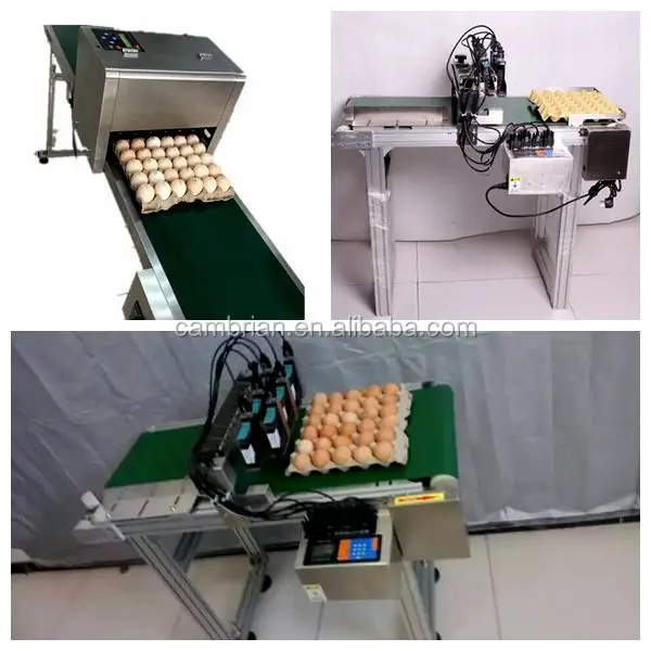 Best Quality High Dpi Inkjet Egg Printer Print 6 Lines Eggs Direct Jet ...