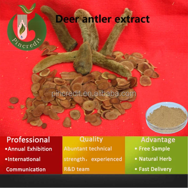 New Arrival Deer Antler Velvet Extract Powder - Buy Deer Antler Velvet ...