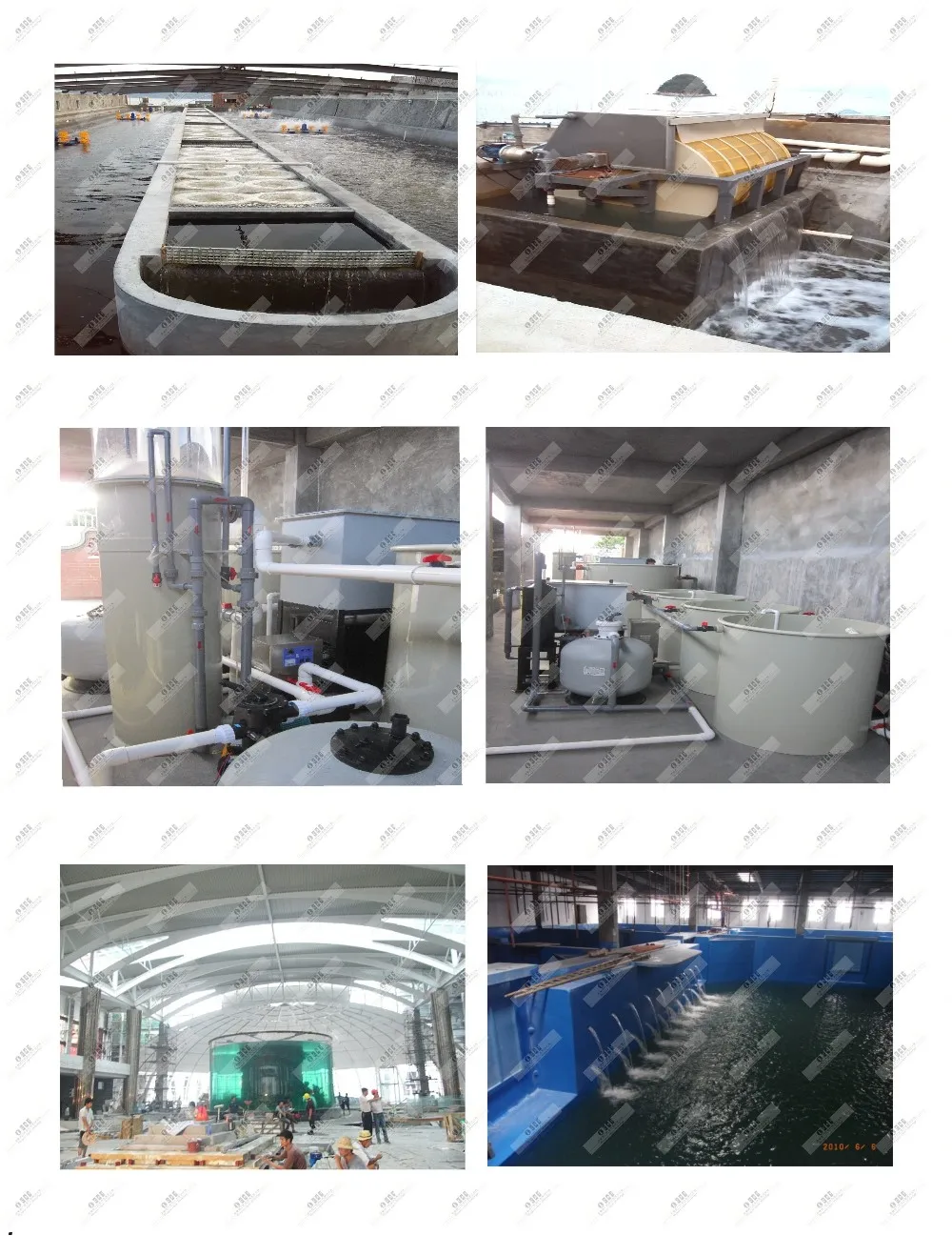 CATAQUA Layout Design for Fish Farm Modern Recirculating Aquaculture System