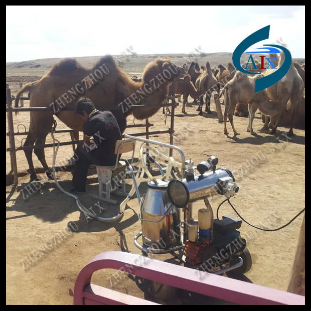 Factory Made Camel Milking Machine /milking Parlour - Buy Camel Milking ...