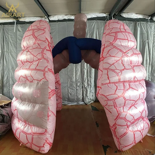 High Quality Advertising Inflatable Lung Arch Tunnel Model Fireproofed ...