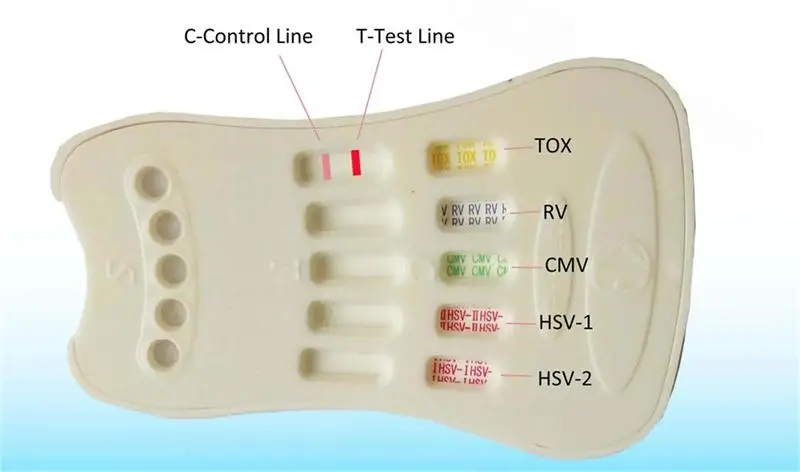 One Step Torch Panel Rapid Test Igg/igm - Buy Torch Panel Test,Torch ...