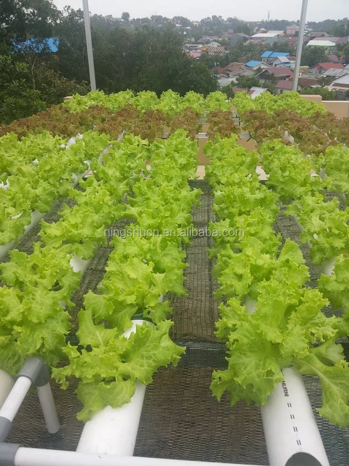 Hydroponics Agricultural Mineral Rock Wool For Tomatoes Seeds /plants ...