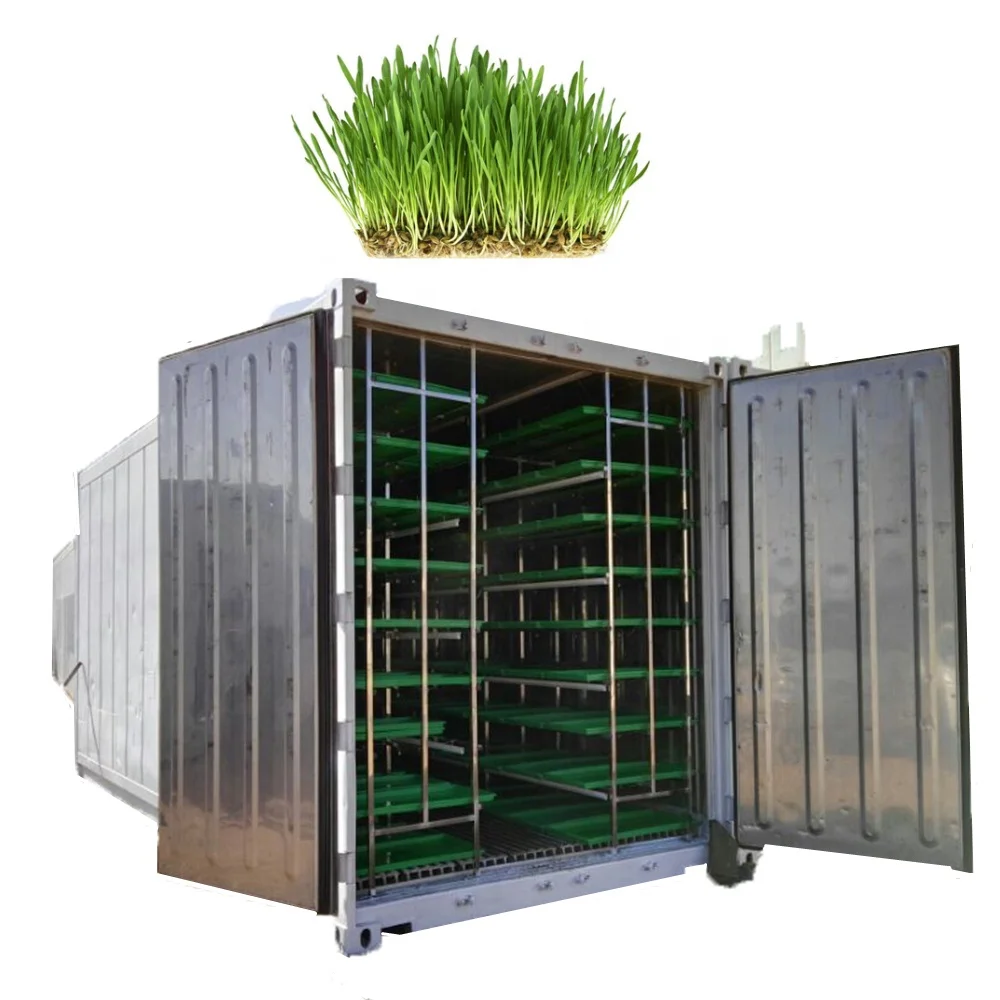 40 Hq Hydroponics Fodder System Container For Farm Hydroponic Growing ...