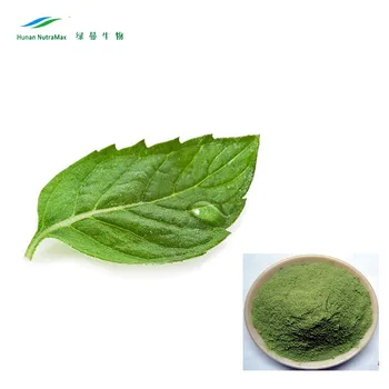 Organic mulberry Leaf Extract,Mulberry Leaf Powder,White Mulberry Leaf ...