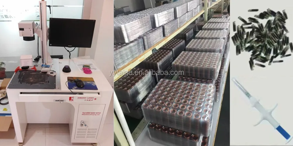 Injectable Animal Tracking Microchip With Syringe Universal Glass Ear ...