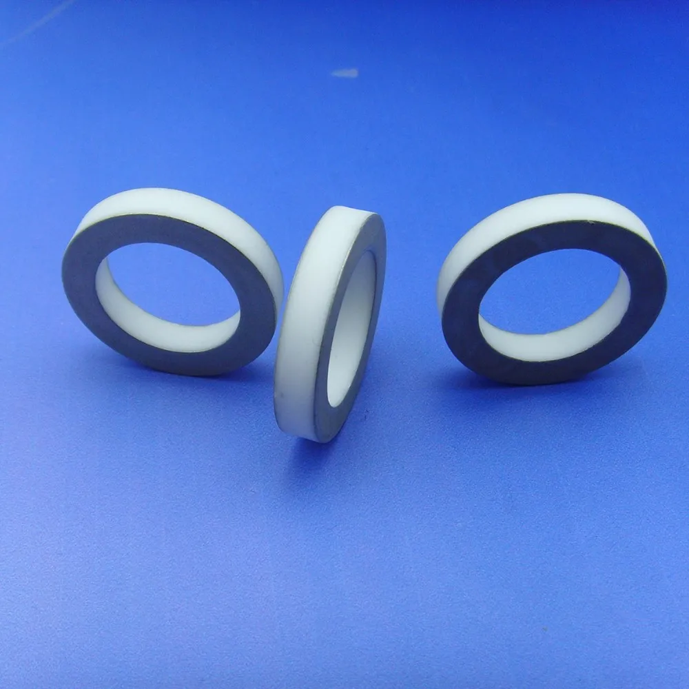 Advanced Electronic Ceramic Ring 95 Al2o3 Alumina Metallized Ceramic ...