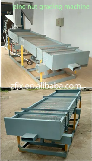 Newest Type Pinoli Nut Shelling Acorn Sheller Pine Seed Cracker Indian ...