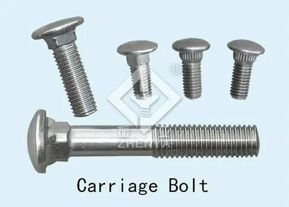 Decorative Carriage Bolts - Durable and Stylish Solutions