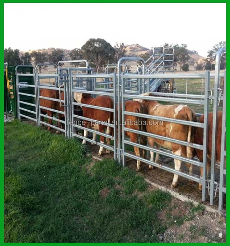 Adjustable Galbanized Cattle Loading Ramp With Sliding Gates - Buy ...