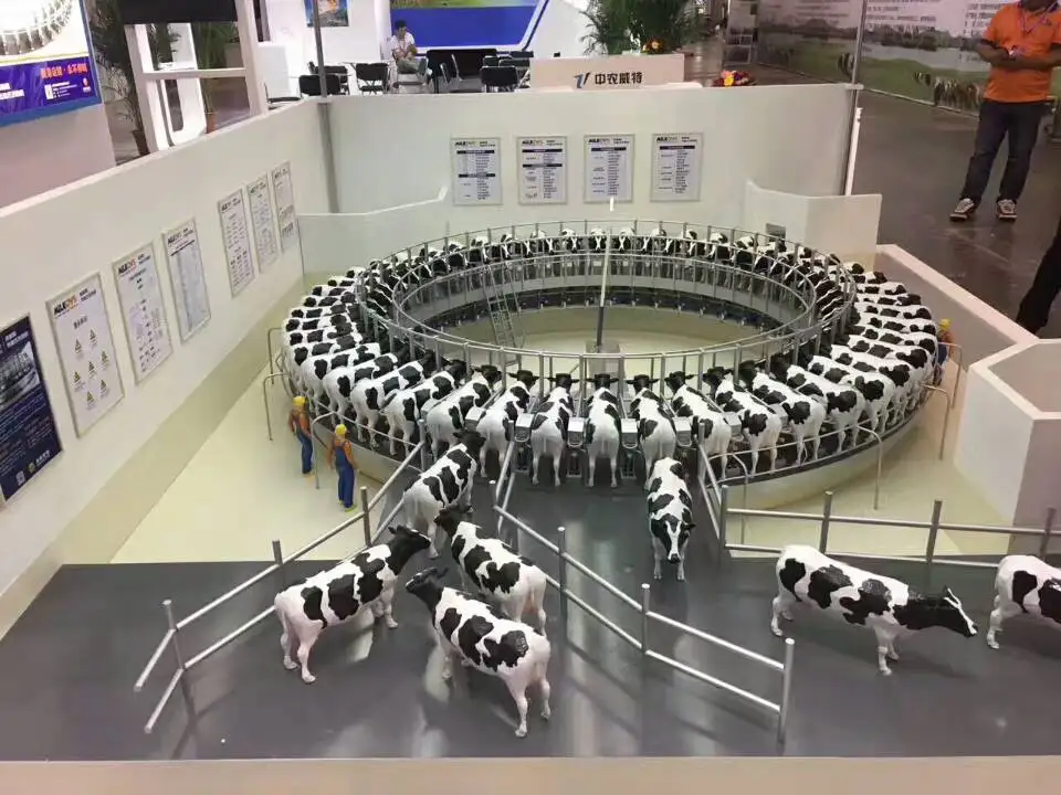 Cattle Rotary Milking Machine Parlour - Buy Rotary Milking Machine ...