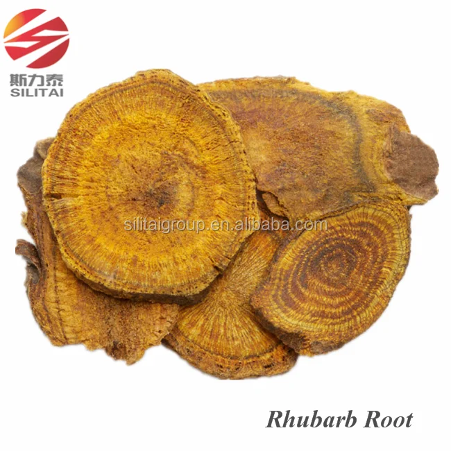 100% Pure Natural Chinese Herb Medicine Rheum Officinale Root/chinese ...