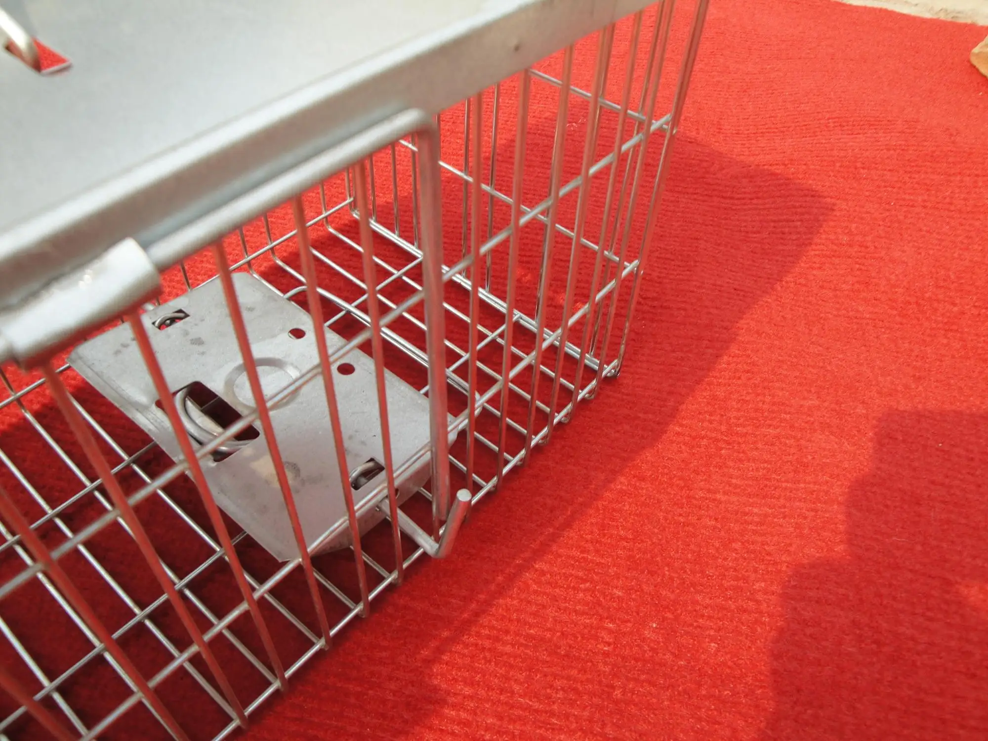 Collapsible Large Live Animal Trap Cage for Feral Dogs - Humane Animal ...