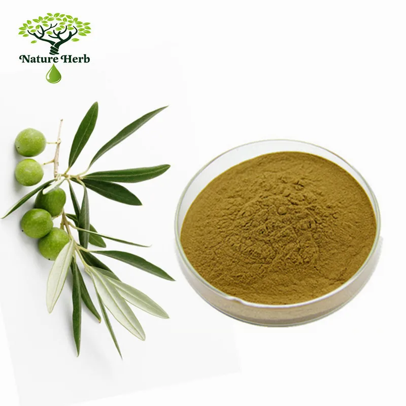 100% Natural Antioxidants Extract Olive Leaf Hydroxytyrosol /oleuropein ...