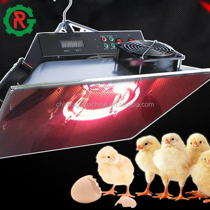 Electric Infrared Brooder Heater - Efficient Heating