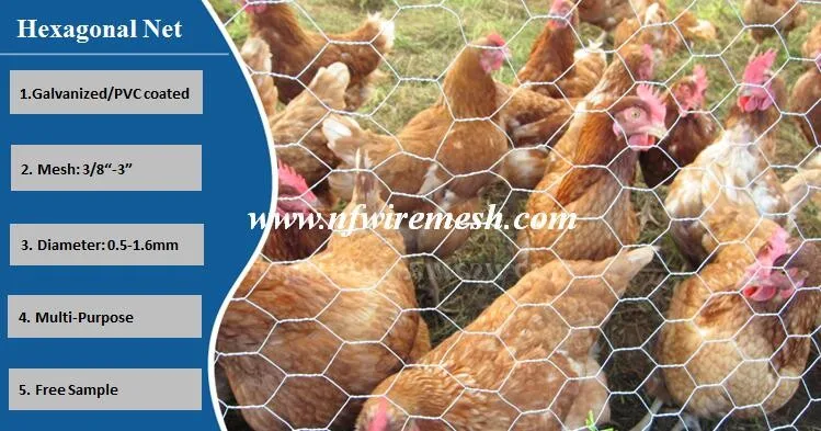 Galvanised Poultry Wire Mesh - Durable and Corrosion Resistant