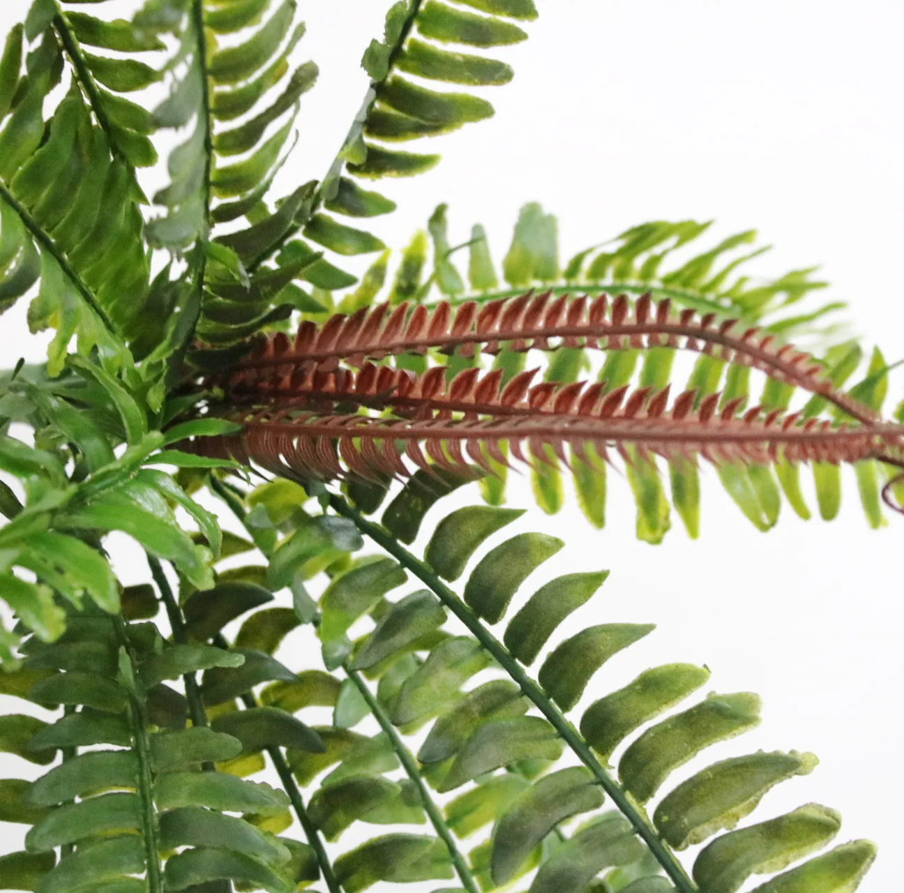 Greenery Bushes Artificial Plastic Boston Fern Leaves Plant Hanging ...