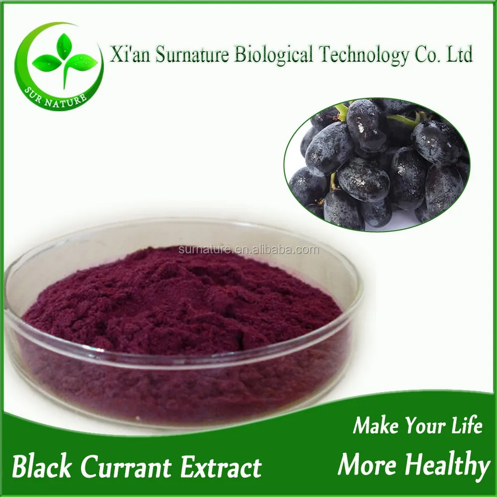 100% Natural Black Currant Juice Powder, Black Currant Powder| Alibaba.com