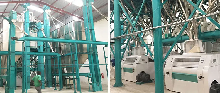 Corn Mill Maize Samp/grits/flour Milling Machines for South Africa