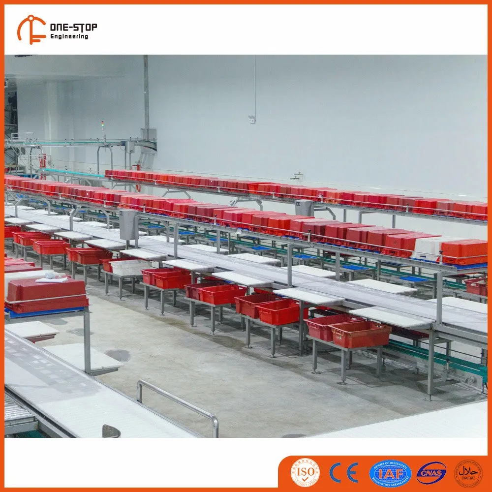 Donkey Meat Slaughter With Quality Meat Processing Butcher Machine ...