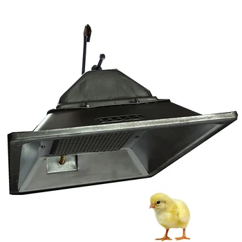 Infrared Heating System For Chicken Breeding Machine Thd2606-1 - Buy ...