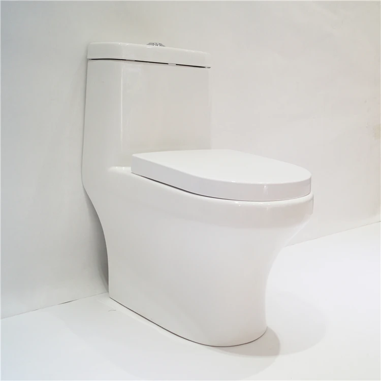 Western Commode Toilet Eddy Dual Flush Water Saving Toilets