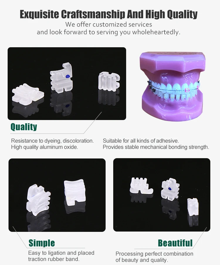 Professional High Quality Custom Orthodontic Dental Ceramic Bracket ...