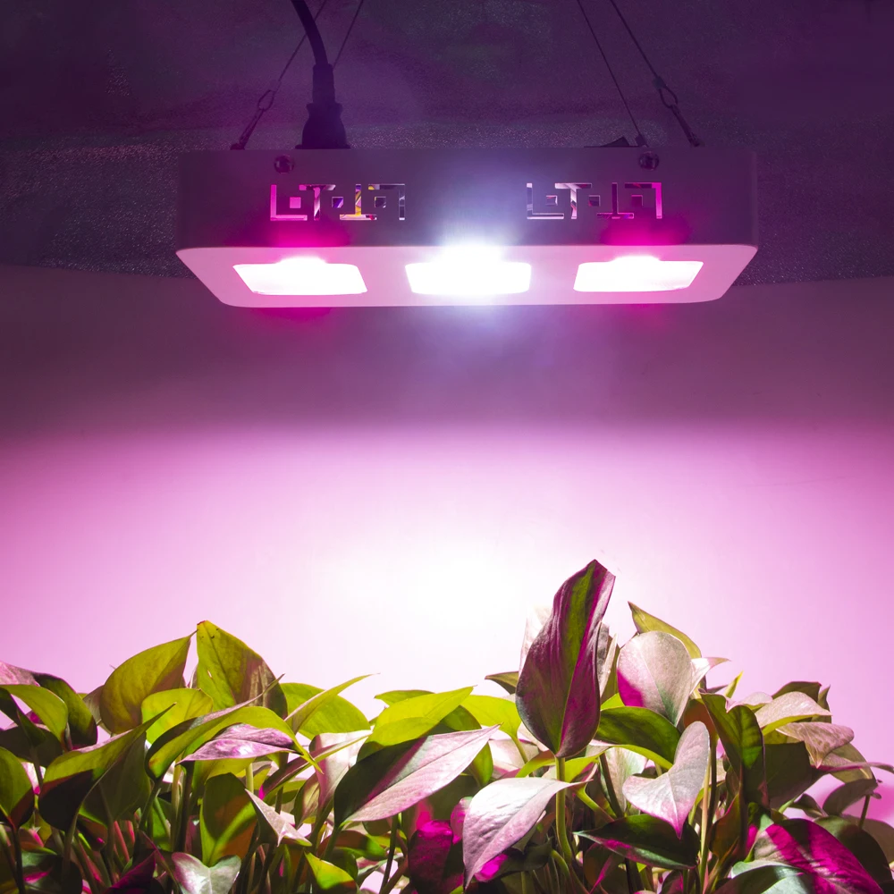 2020 Best New Ce Rohs 300w High Par Full Spectrum Led Grow Light For ...