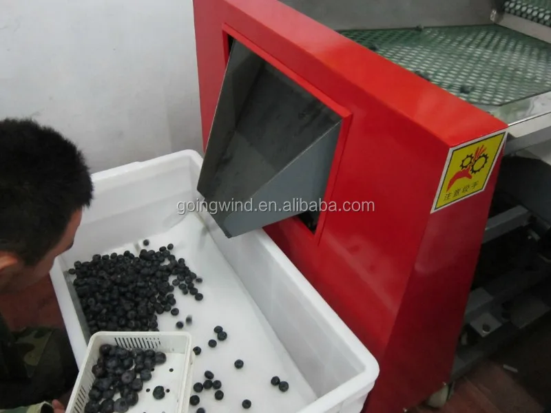 Automatic Commercial Blueberry Size Grading Sorting Machine Industrial ...