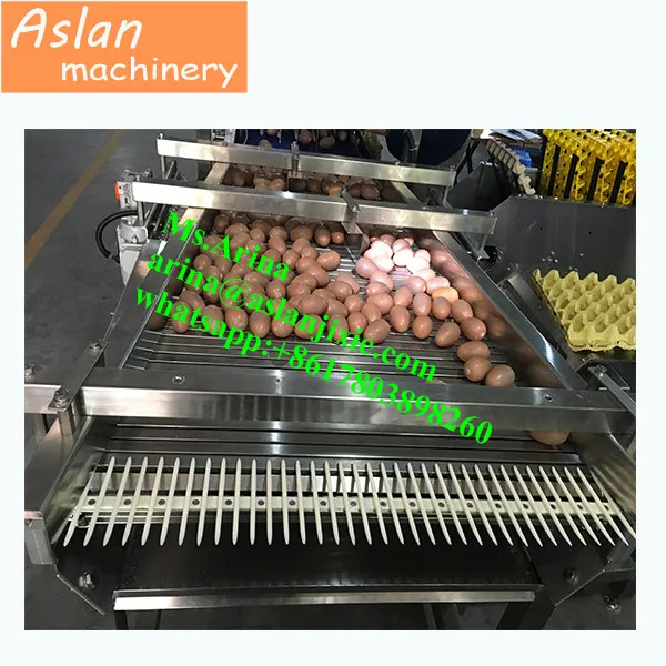 25000pcs/h Egg Tray Packer - Efficient Egg Grading Machine