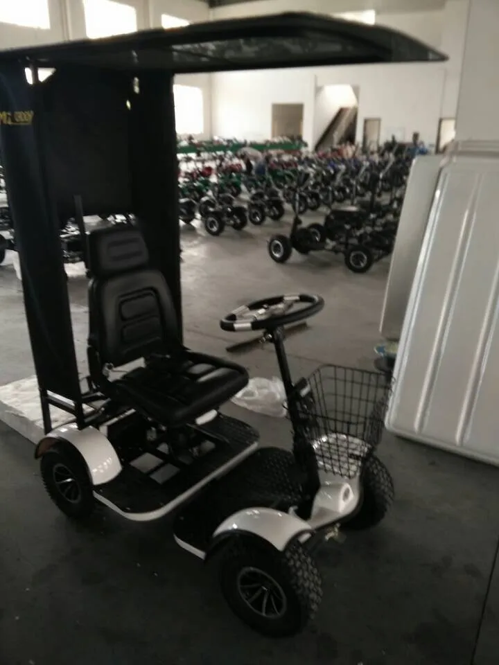 Single Seat Electric Golf Cart Scooter 1 Person Club Car Golf Buggy ...