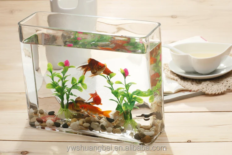 Large Glass Fish Tank Glass Aquarium Square Glass Fish Tank - Buy Fish ...