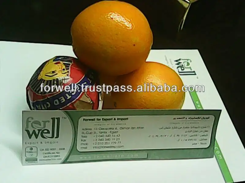 15- 8 Kg Orange Carton 20 Pallet 24 Ton Per Container - Buy Egyptian ...