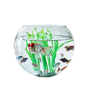 Clear Large Round Glass Fish Bowl Aquarium - Buy Glass Fish Bowl,Fish ...