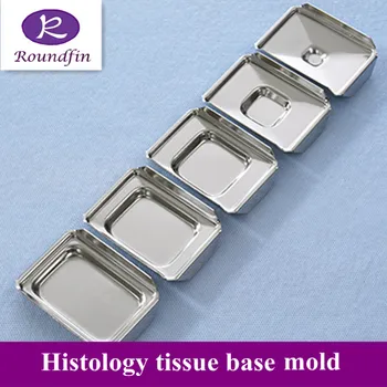 Basic Tissue Orientation And Paraffin Embedding Technique - Buy Basic ...