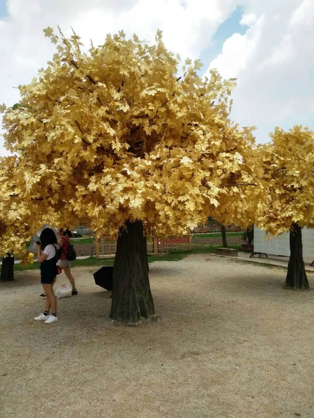 Artificial Golden Big Money Tree For Holiday Decoration Money Tree Oak ...