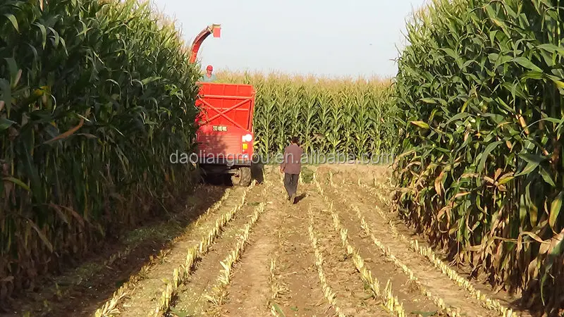 Pto-driven Tractor Towed Maize Forage Silage Harvester Used By Small ...