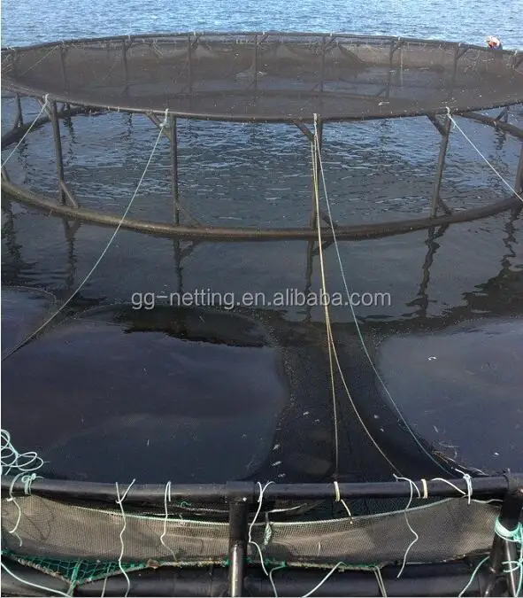 Fish Farming Cage Nets - Buy Fish Farming Cage Nets,Fish Farm Cage Nets ...