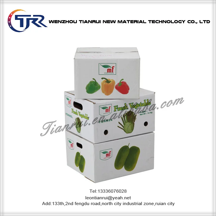 Customized PP Sweet Corn Box - Durable & Recycled Materials