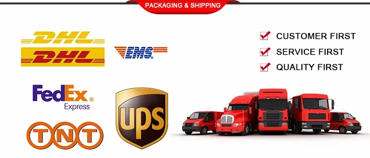 6 Way Delphi Packard 56 Series Female Connector 2977044 - Buy 6 Cavity ...