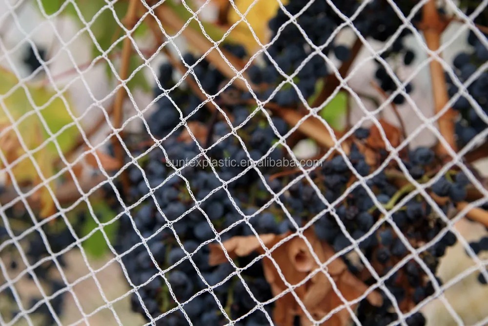 Hdpe Multifilament Netting Bird Protection Mesh/plastic Bird Screen ...