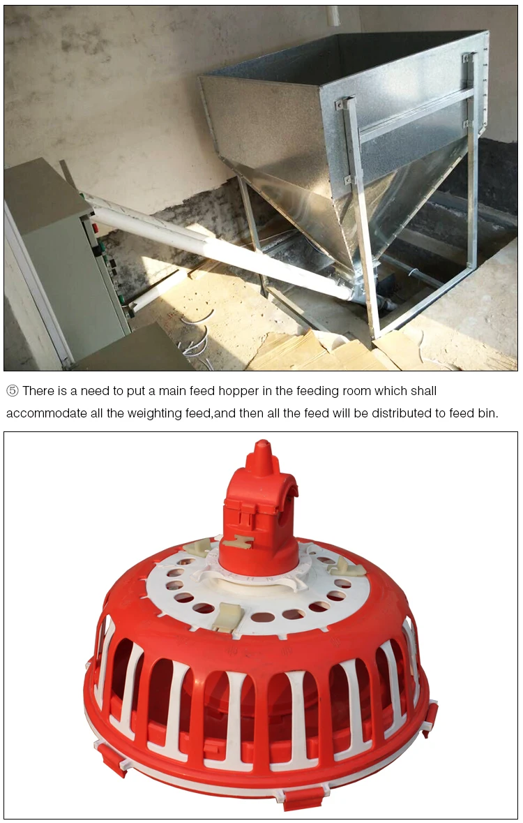 Wholesale Chicken Farming Chain Feeding Equipment Pan Feeder For ...