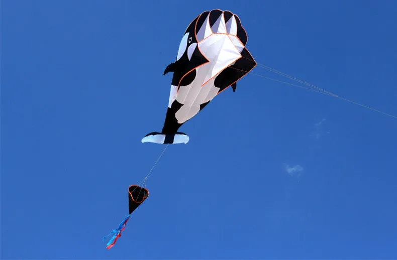 Inflatable Whale Kites - Fun and Adventure in Every Flight