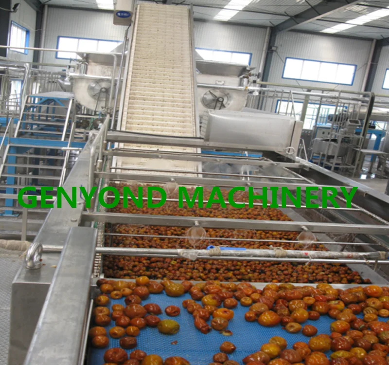Professional Dates Molasses Production Line - Buy Dates Molasses ...